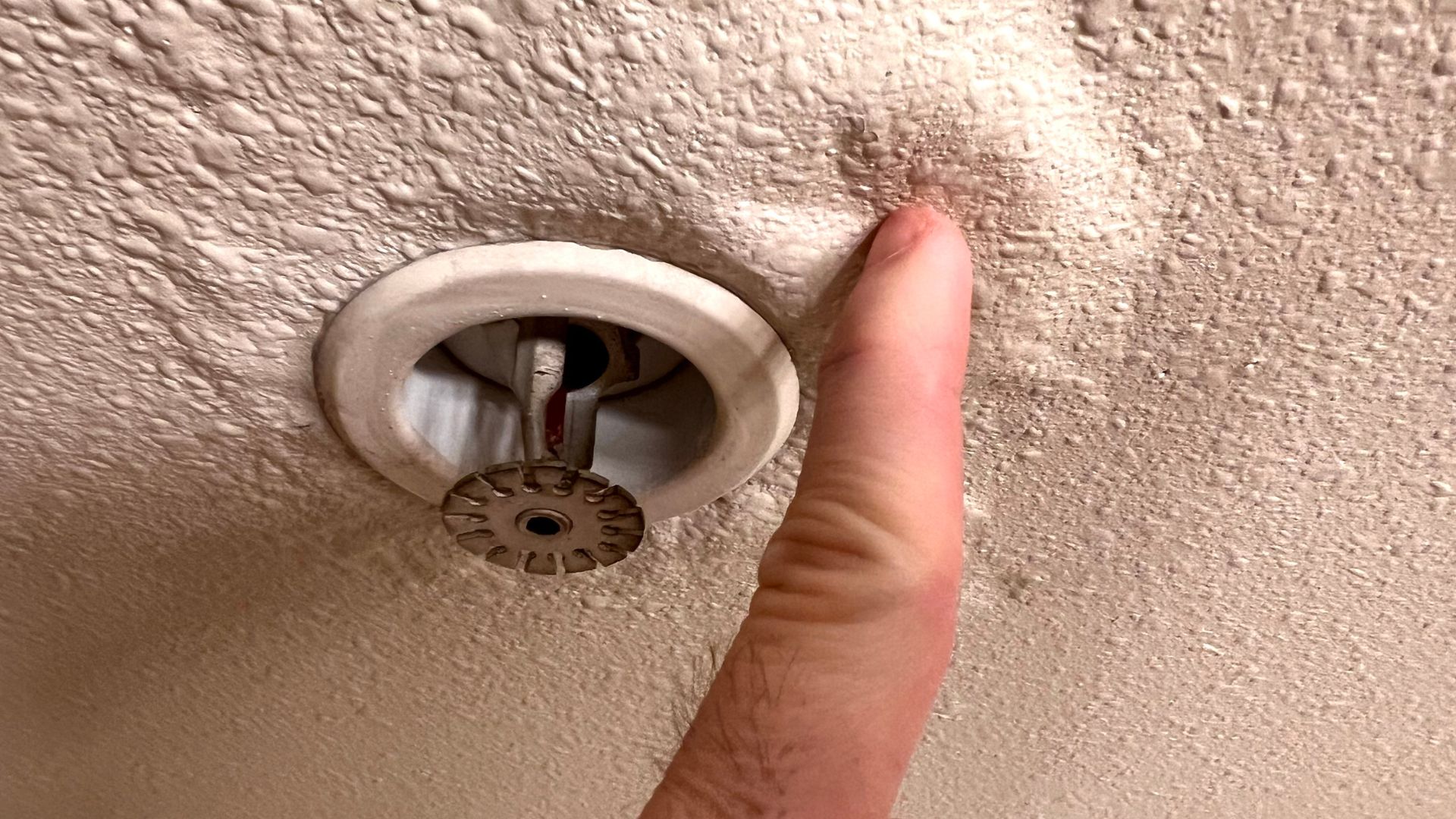 Water Damage Assessment - Mike Conroy Consulting